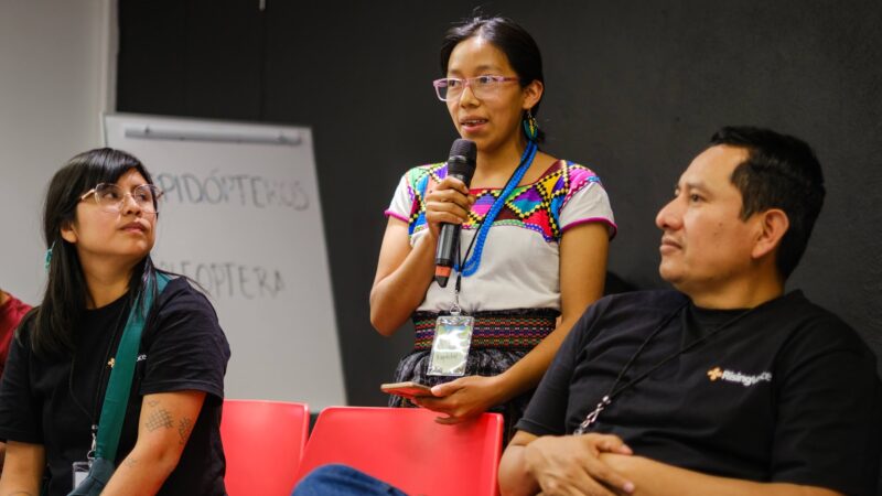 Mexican Indigenous Activists Shape AI for Cultural Future - AITechTrend